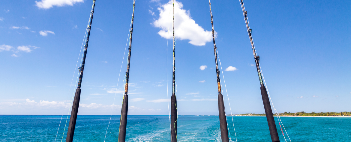 The Ultimate Destin Fishing Itinerary: Everything You Need to Know ...